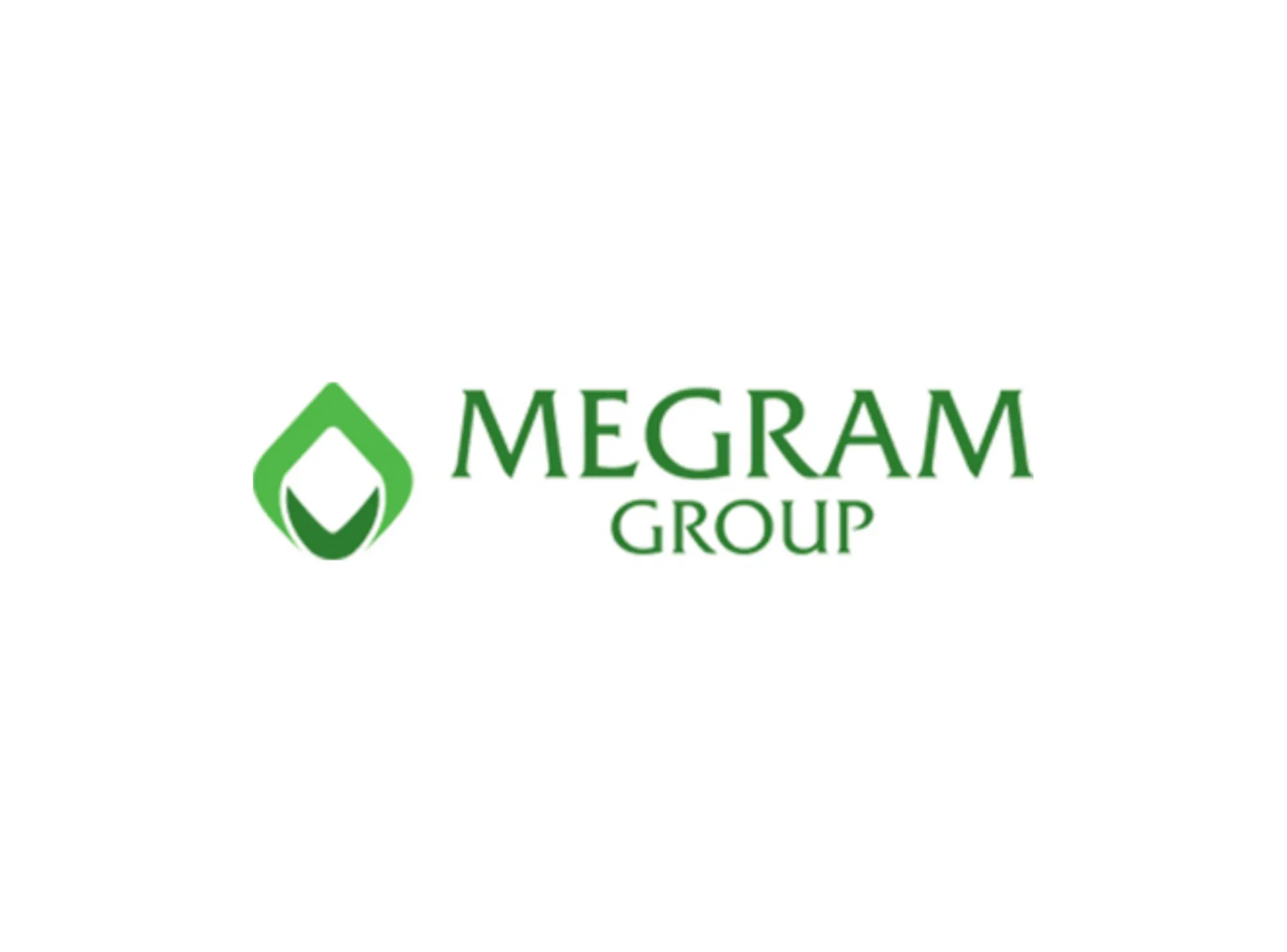Megram Group (VNR-500) triển khai Oracle NetSuite để quản trị tập đoàn ...